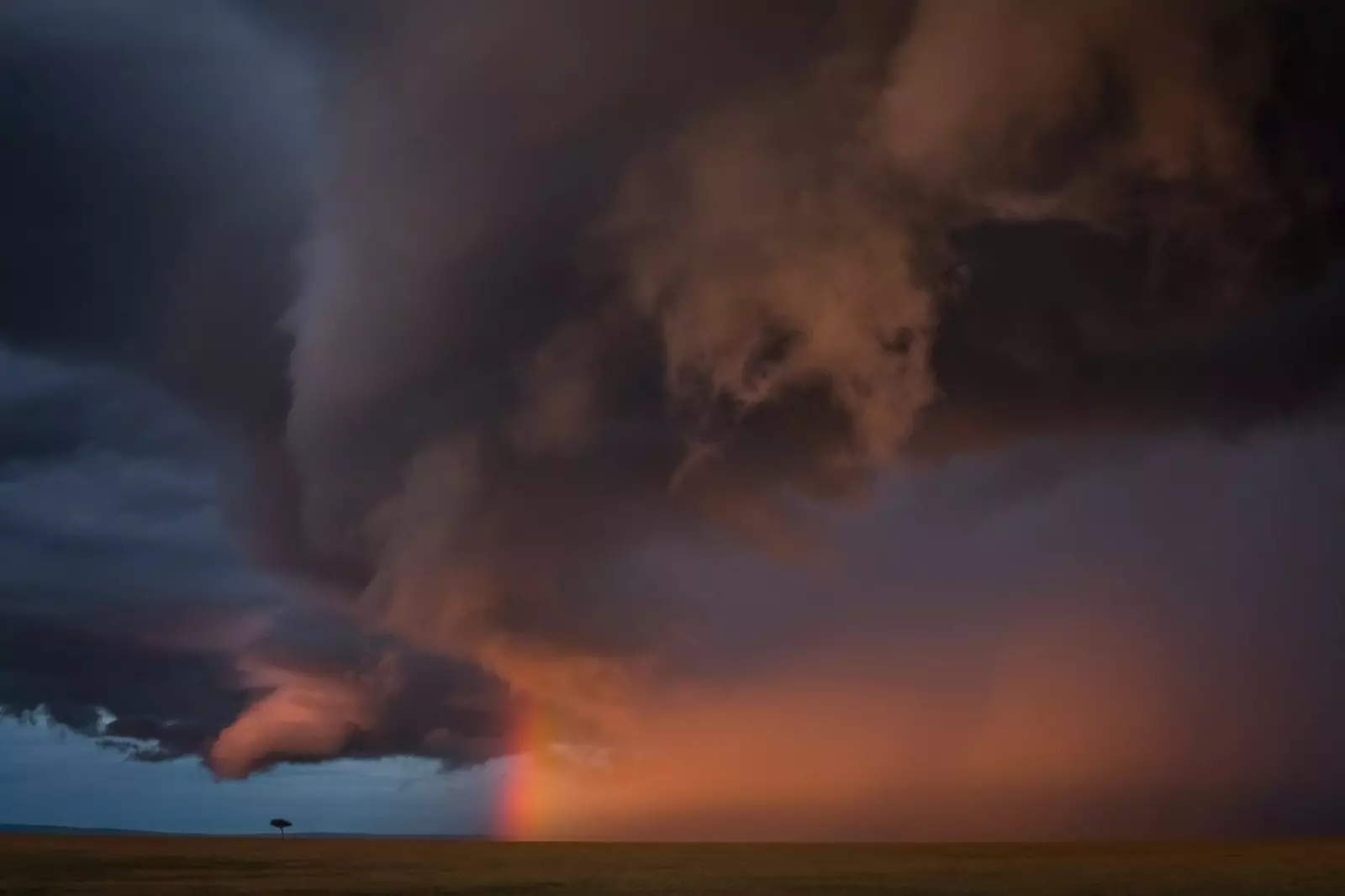 Årets naturfotograf 2020: bästa bilder av naturen 1798_9