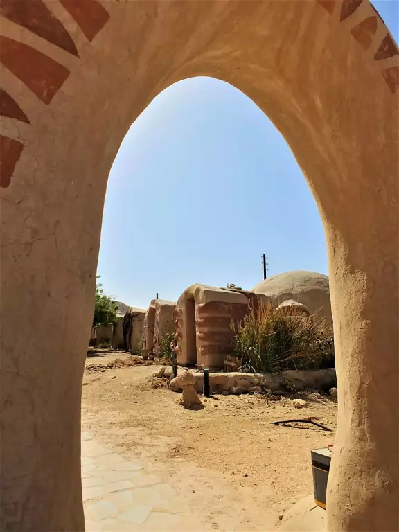 El reino de tatado en el desierto israelí en la lente;) 1803_7