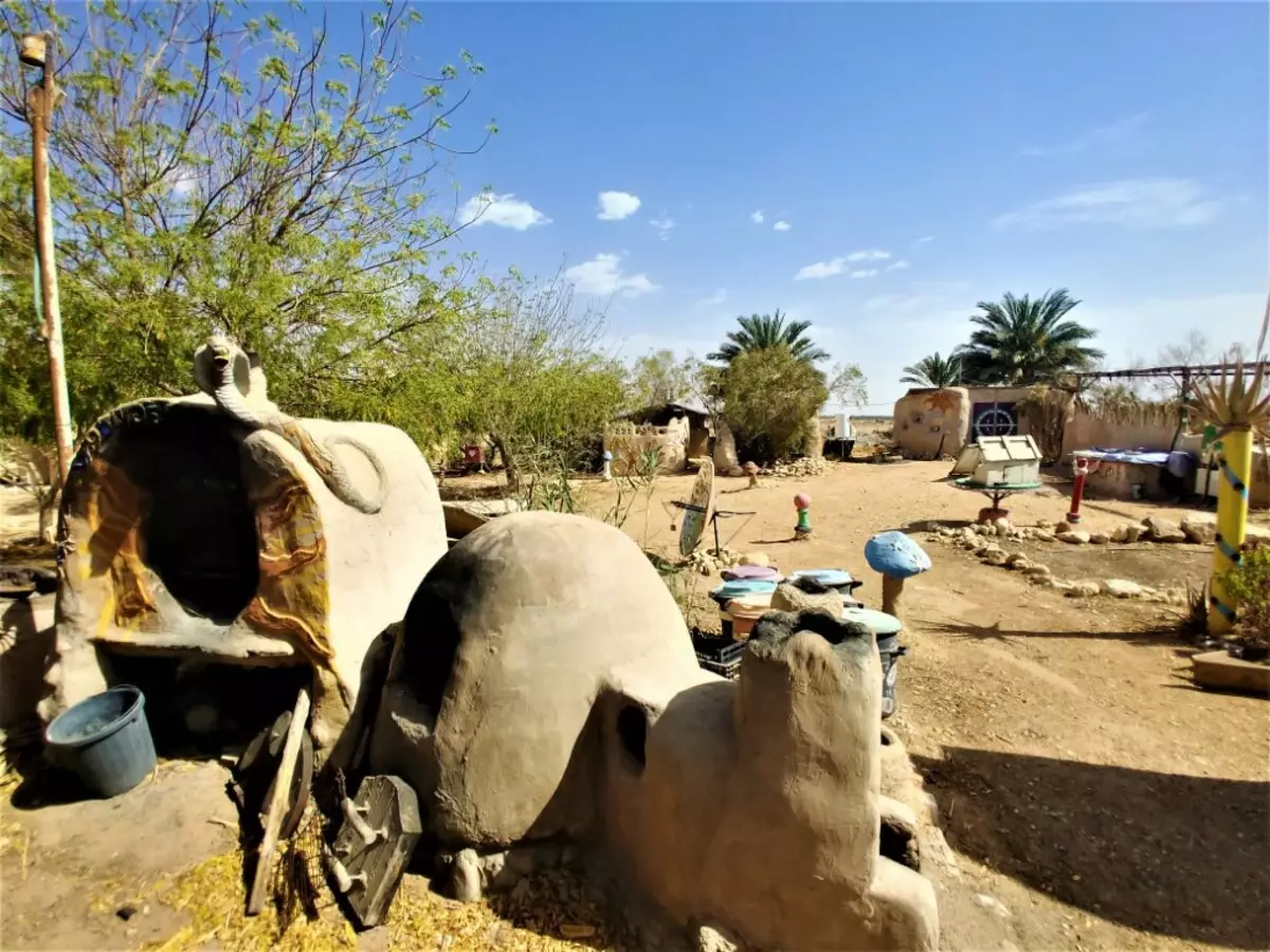 El reino de tatado en el desierto israelí en la lente;) 1803_9