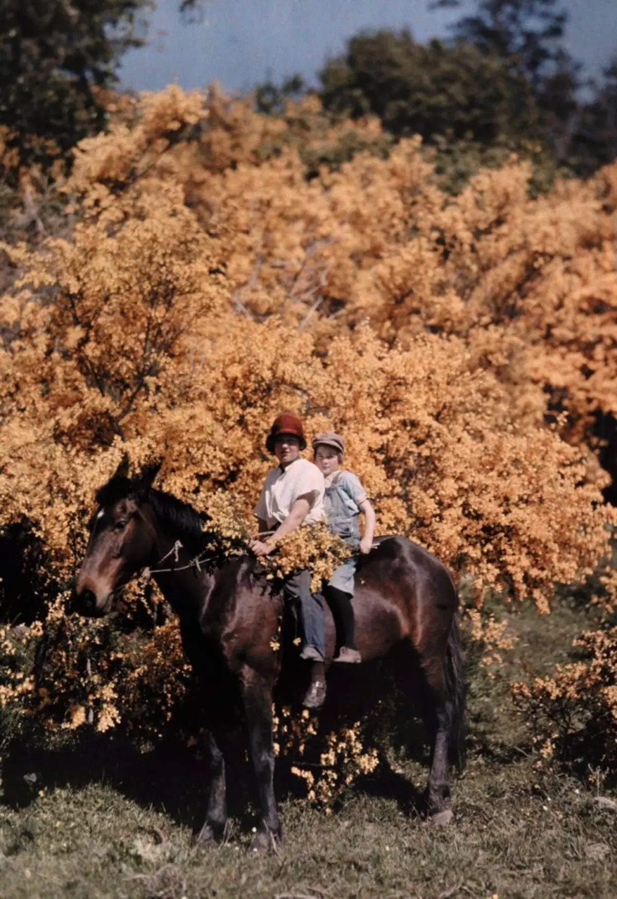 Enfants sur le cheval dans la Cross City, Californie, 1929. Auto, photographe Charles Martin