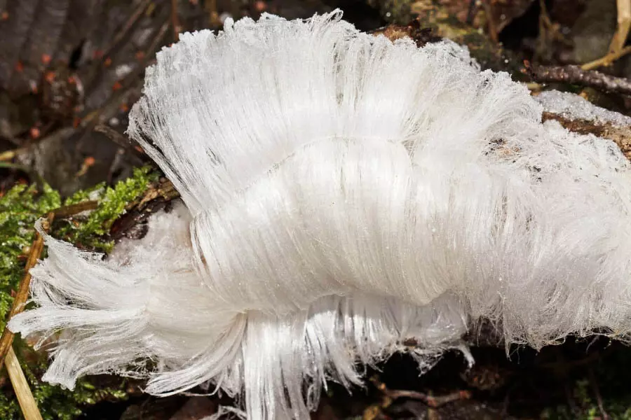 Foto de um fenômeno natural raro na praia, que soprou a internet! 1834_9