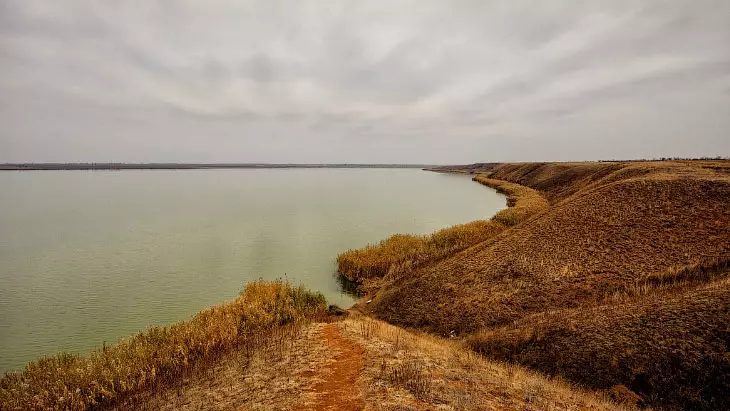 Vida selvagem do Lago Kyzyl-Yar em Crimeia em Fotos de Tatiana Estúpido 1844_2