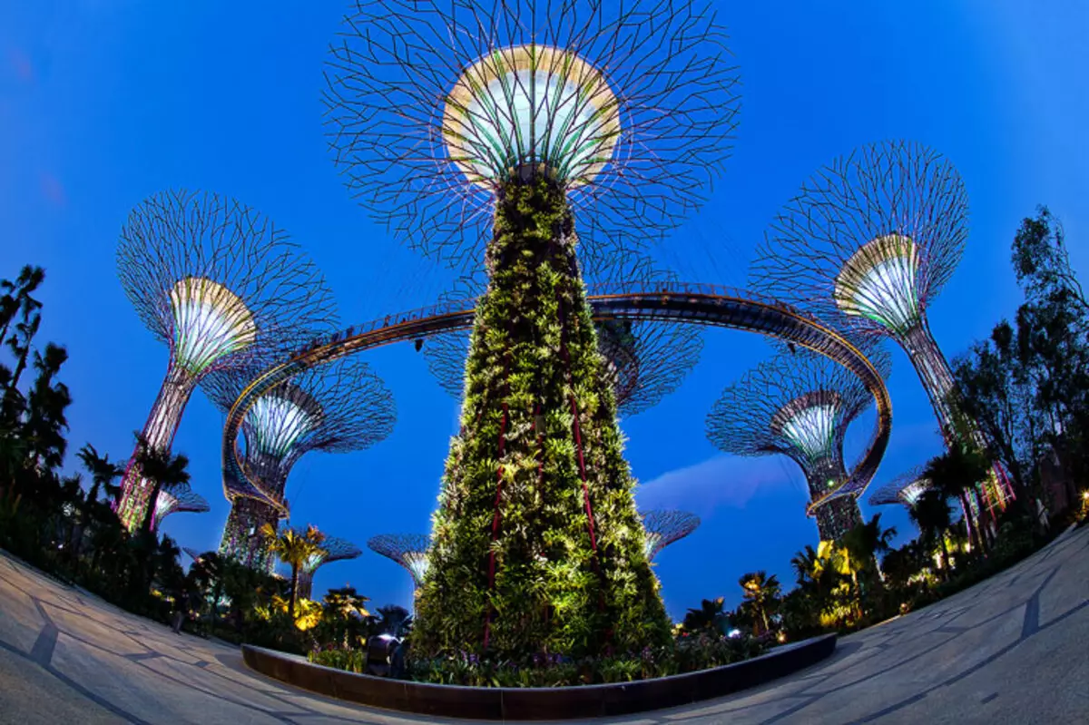 Tuine deur die baai: futuristiese kus tuine van Singapoer in lense;) 1900_1