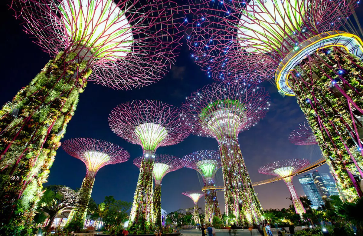 Gardens ng Bay: Futuristic coastal gardens ng Singapore sa lenses;) 1900_12