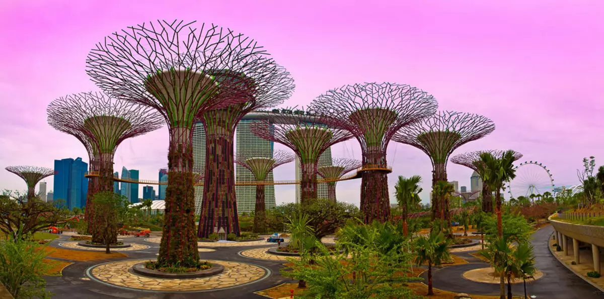 Gardens ng Bay: Futuristic coastal gardens ng Singapore sa lenses;) 1900_13