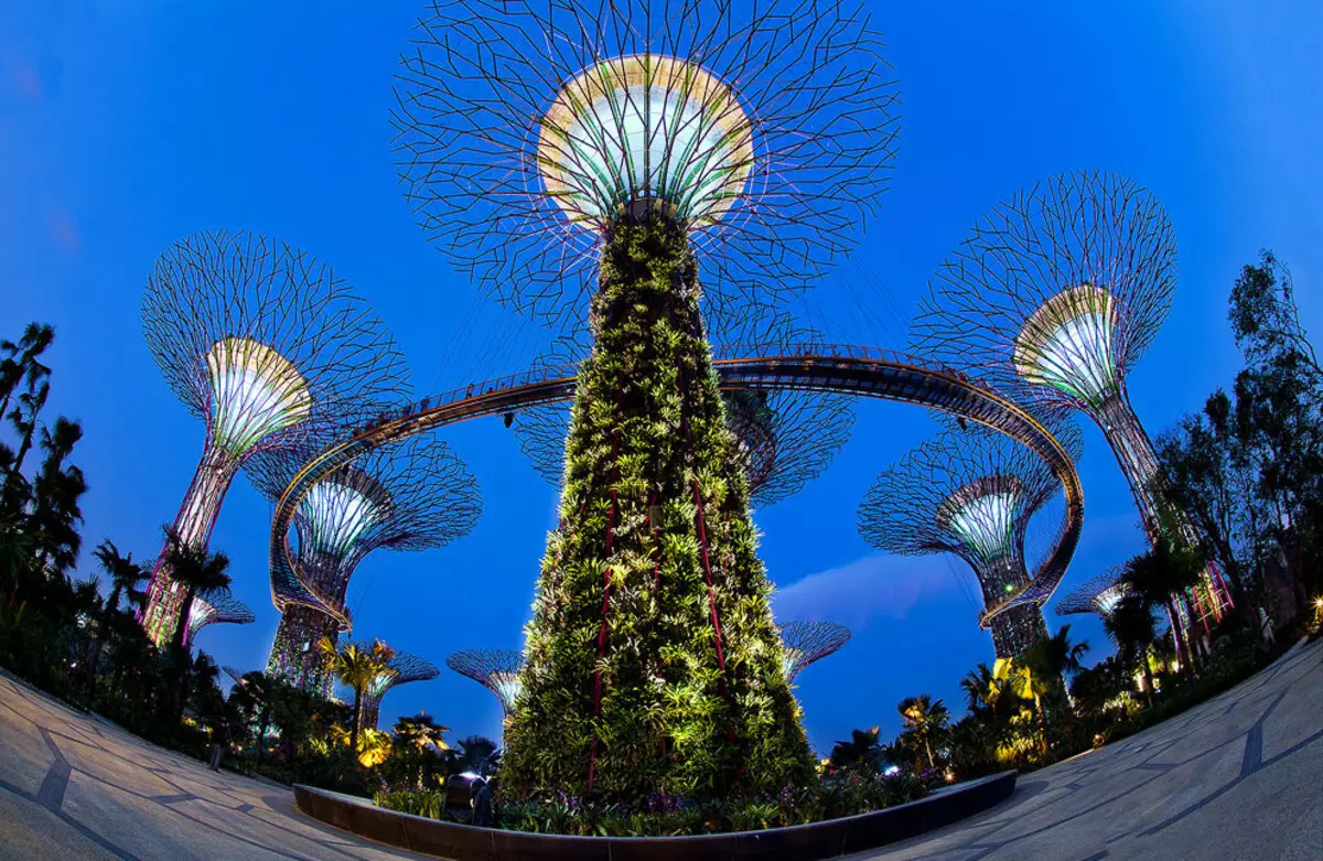 Gardens de către Bay: Grădinile de coastă futuriste din Singapore în lentile;) 1900_15