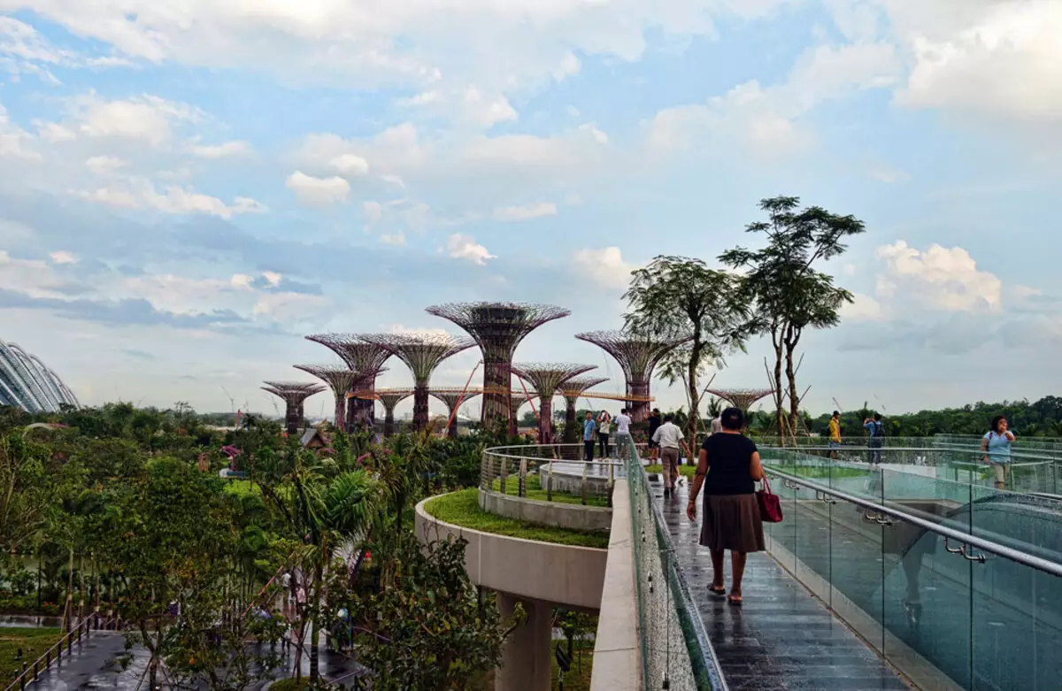 Gardens de către Bay: Grădinile de coastă futuriste din Singapore în lentile;) 1900_17