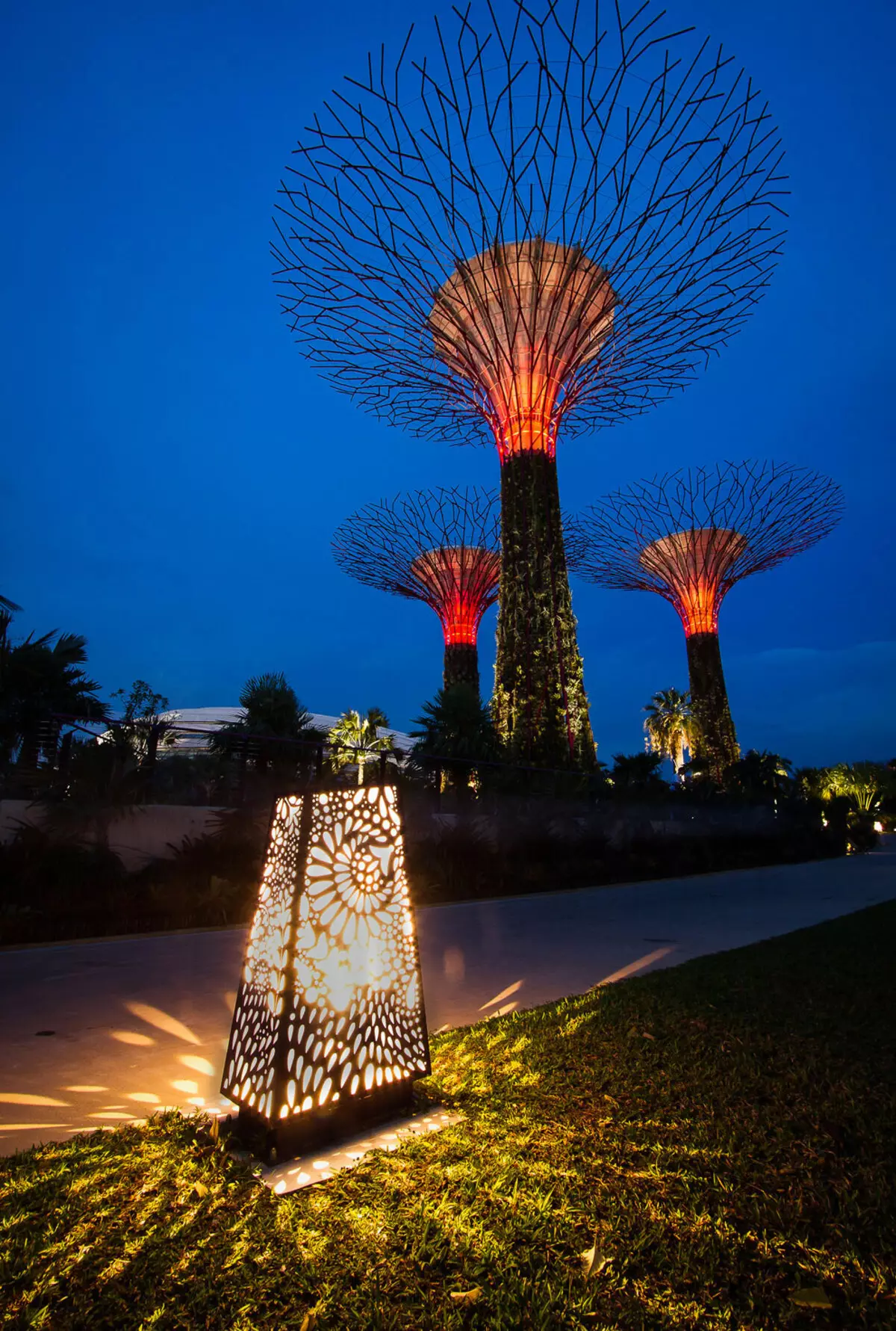 ສວນໂດຍ Bay: ສວນ Coastal Coastal of Singapore ໃນເລນໃນເລນ;) 1900_21