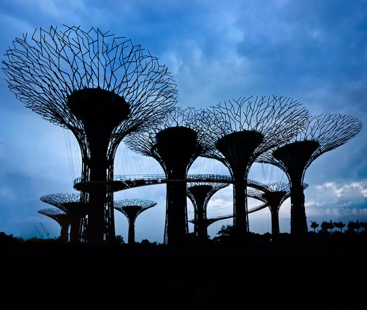 Gardens de către Bay: Grădinile de coastă futuriste din Singapore în lentile;) 1900_23