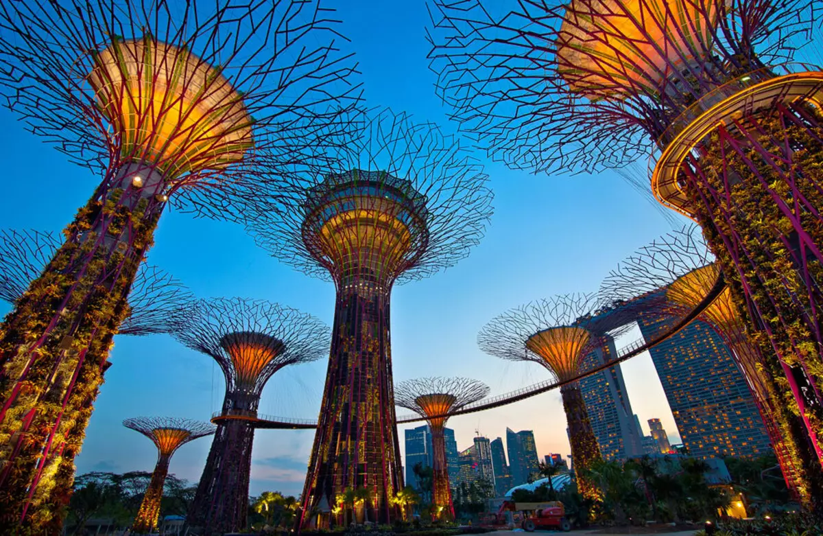 Gardens ng Bay: Futuristic coastal gardens ng Singapore sa lenses;) 1900_24