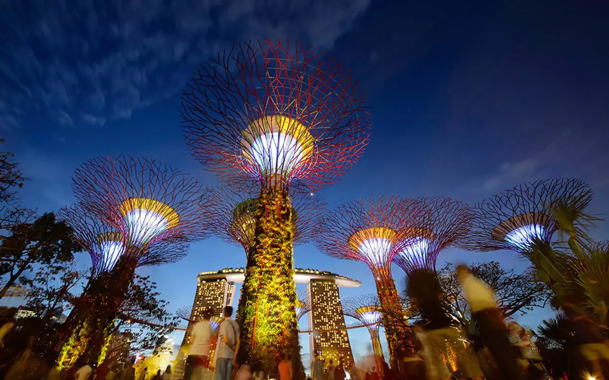 Gardens troch de baai: Futuristyske kust-tunen fan Singapore yn lenzen;) 1900_5