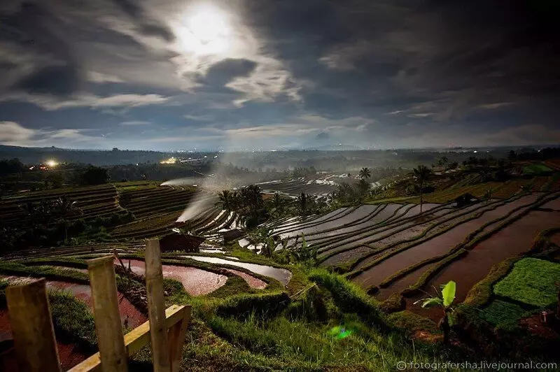 Mga umahan sa Rice sa Traveller Lens 196_7