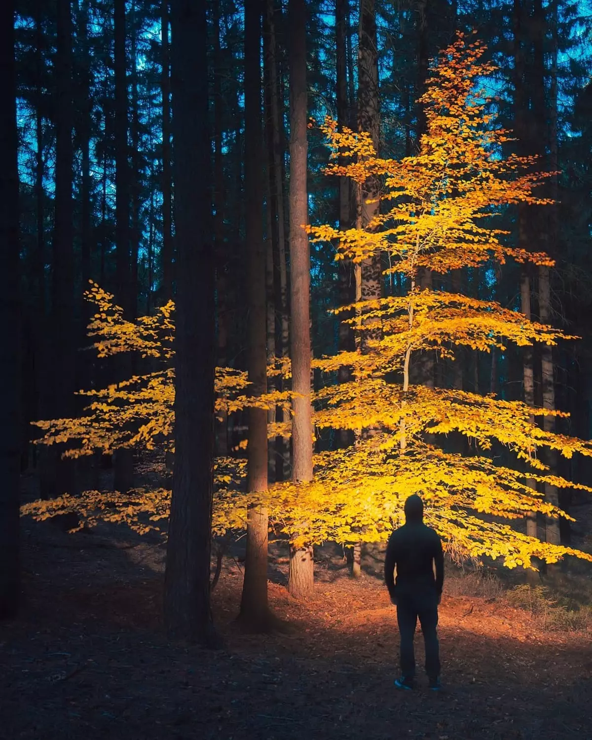 Lucas Furlan-аас үзэсгэлэнтэй гэрэл зургийн ландшафт 201_5