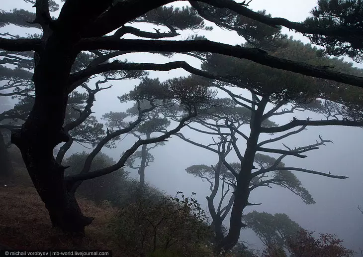 Avatar li ser Erdê: Mountiyayên Huangshan li Mikhail Vorobyeva Lens 2197_2