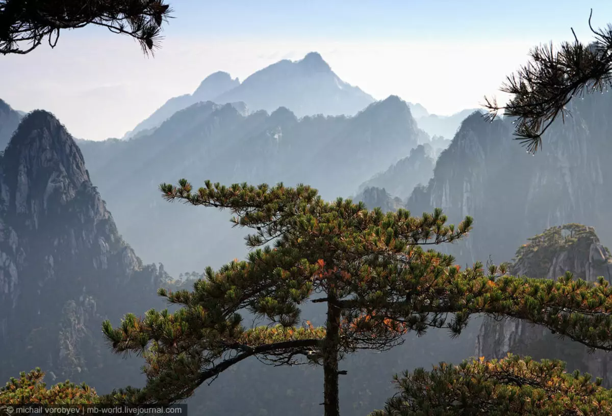 Avatar på jorden: Huangshan Mountains i Mikhail Vorobyeva Lens 2197_5