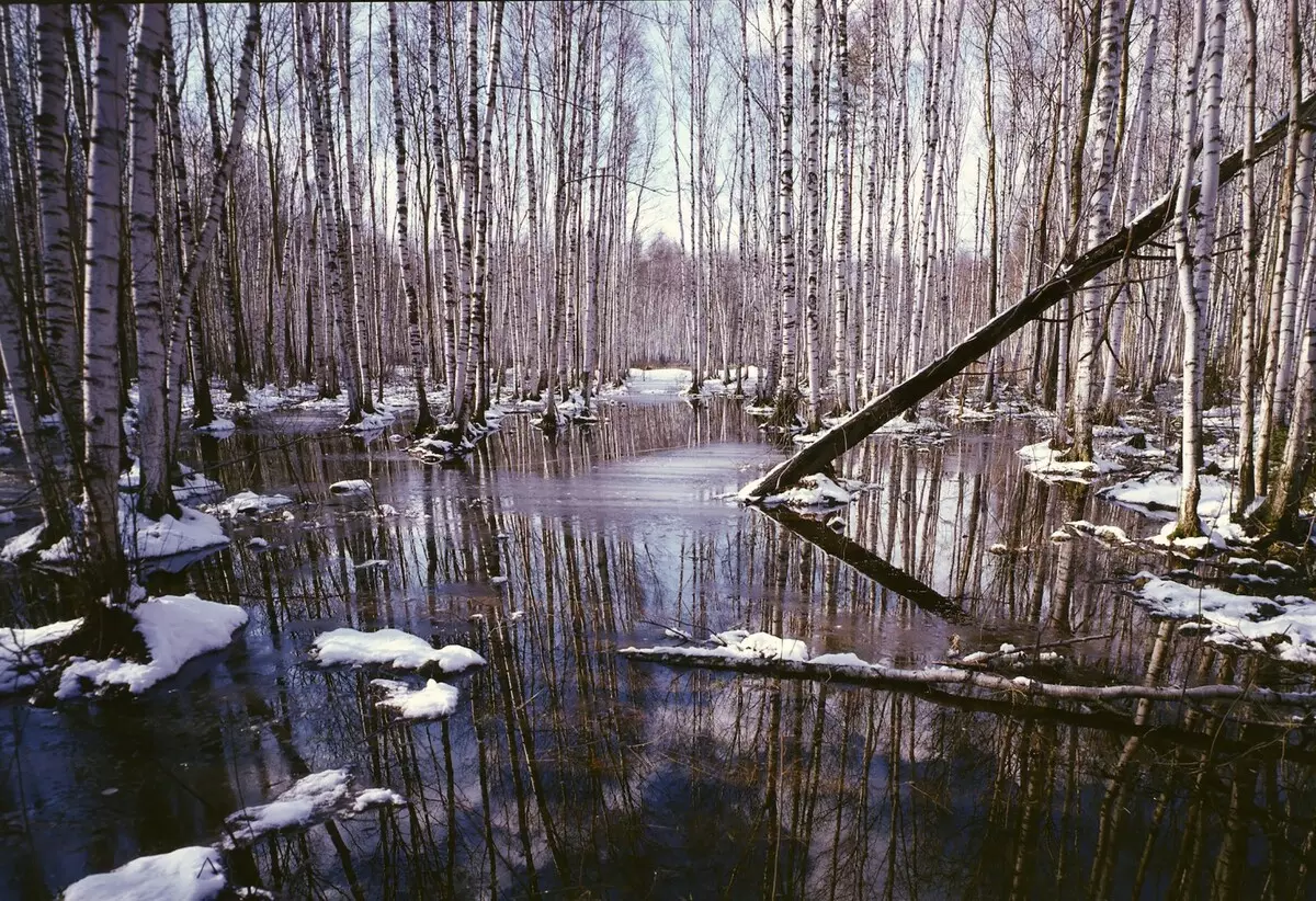 Vadim Hippenreuter - Legenden om det inhemska landskapsfotoet 2205_14