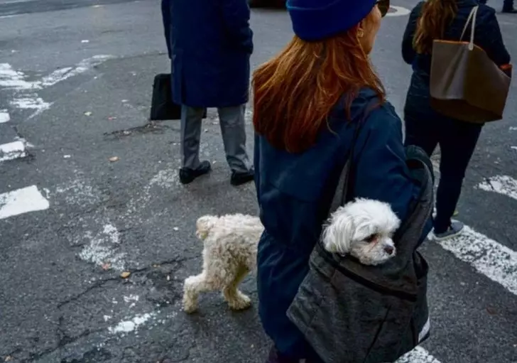 Фото, на які потрібно подивитися двічі, щоб зрозуміти, в чому тут справа 2208_7