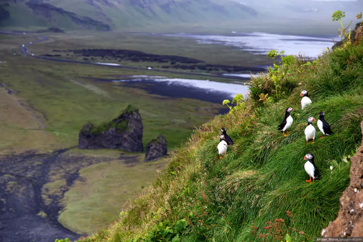 Tsibirin Iceland: A kan hanyar zuwa babbar ƙasa 2212_30