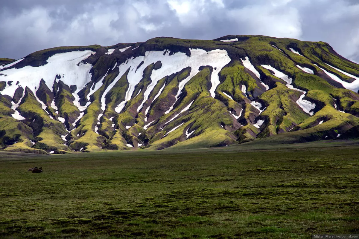 Islandia Wyspa: W drodze do Wielkiej Ziemi 2212_9