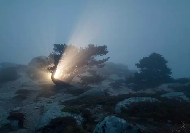 Harmonisiteit van die werklikheid in die fotokruweling van 