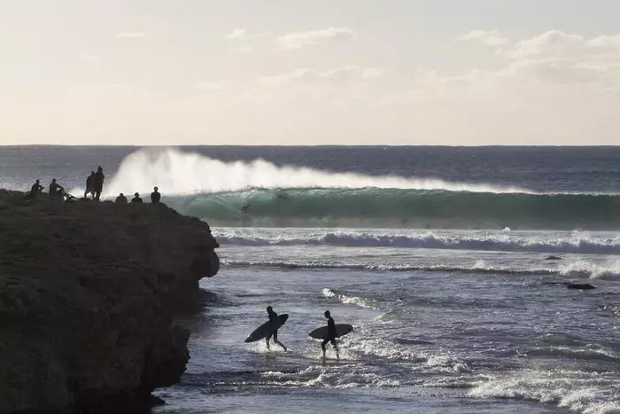 Paradise Footage i District Place: Sharks på kysten av Australia i bildene av Schoon Scott (Sean Scott) 2298_11