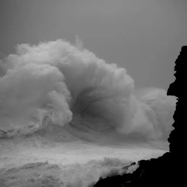 ルーク・シャドボルの写真の興奮した海（Luke Shadbolt） 2350_13