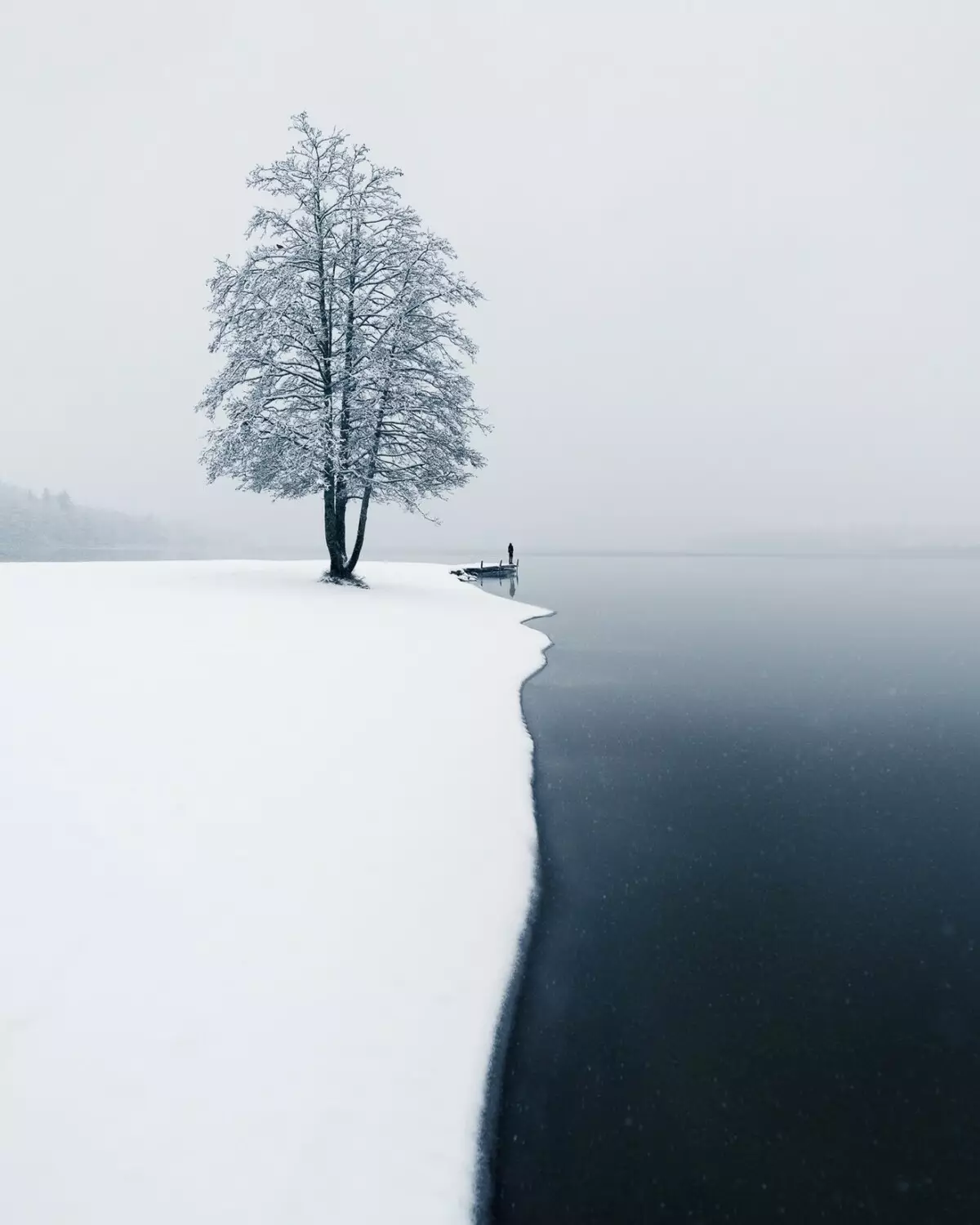 Alene med natur: Mikko Lagerstedt Emosionelle rammer (Mikko Lagerstedt) 2433_1