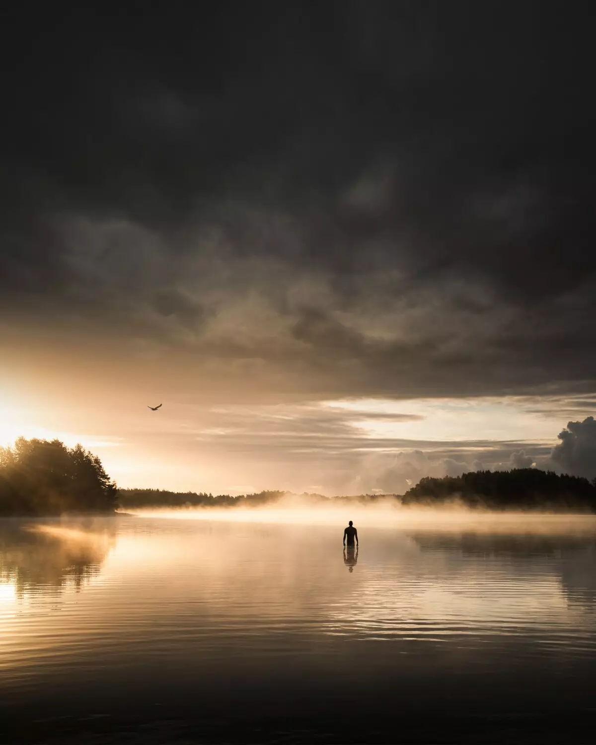 Sám s prírodou: Mikko Lagerstedt emocionálne rámy (Mikko Lagerstedt) 2433_5