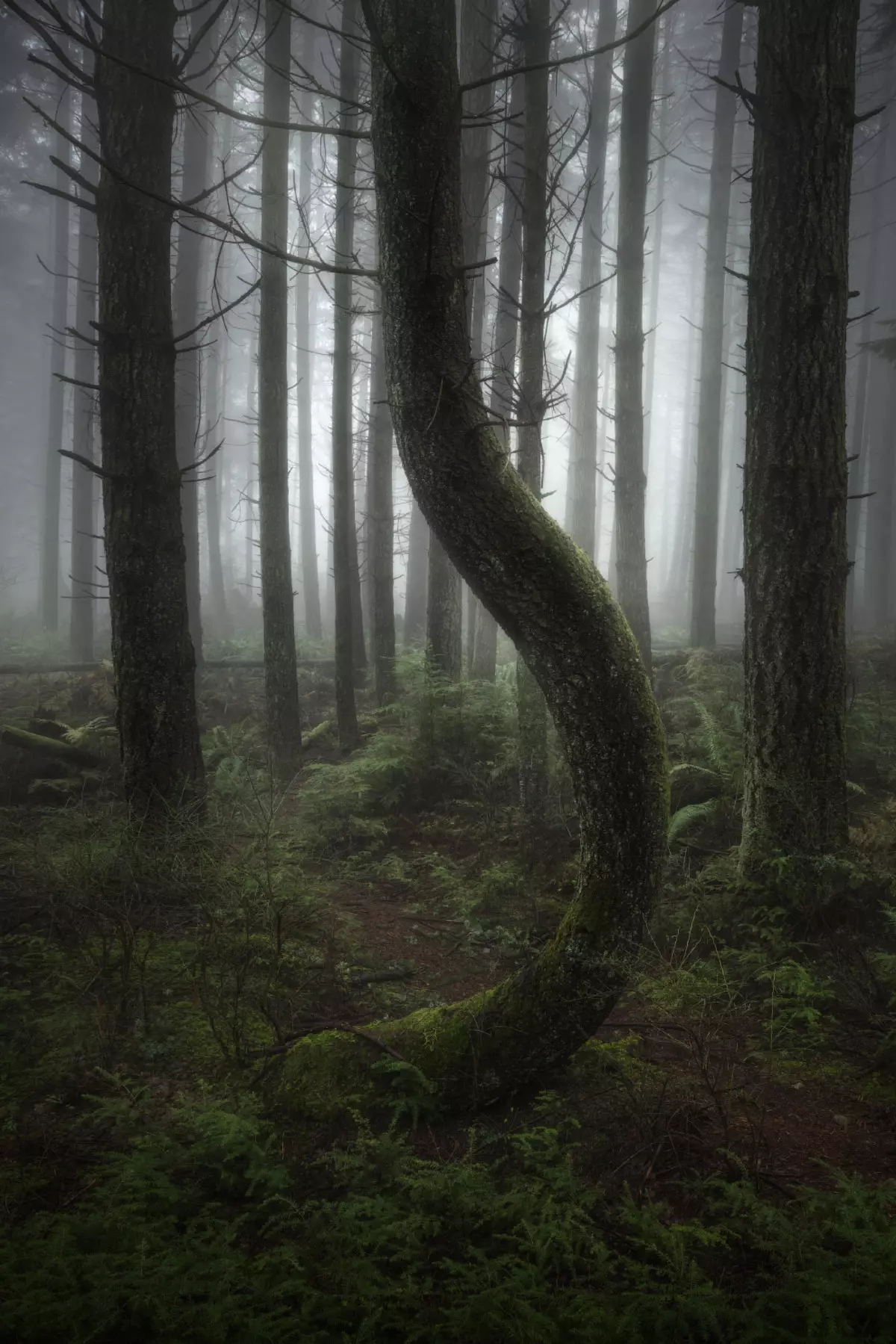 Najbolje pejzažne fotografije Međunarodnog pejzažnog fotografa iz 2019. godine 2494_10