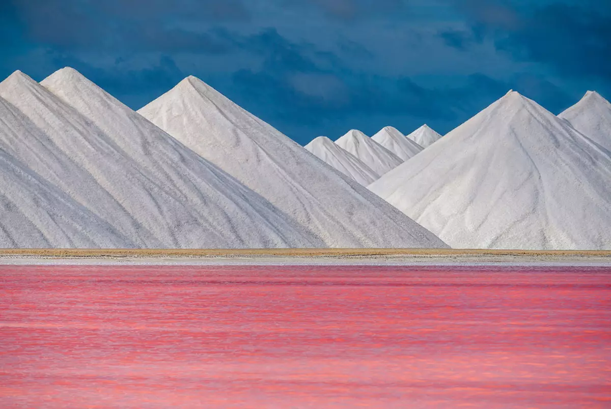 Top landskabsbilleder af international landskabsfotograf af året 2019 2494_2