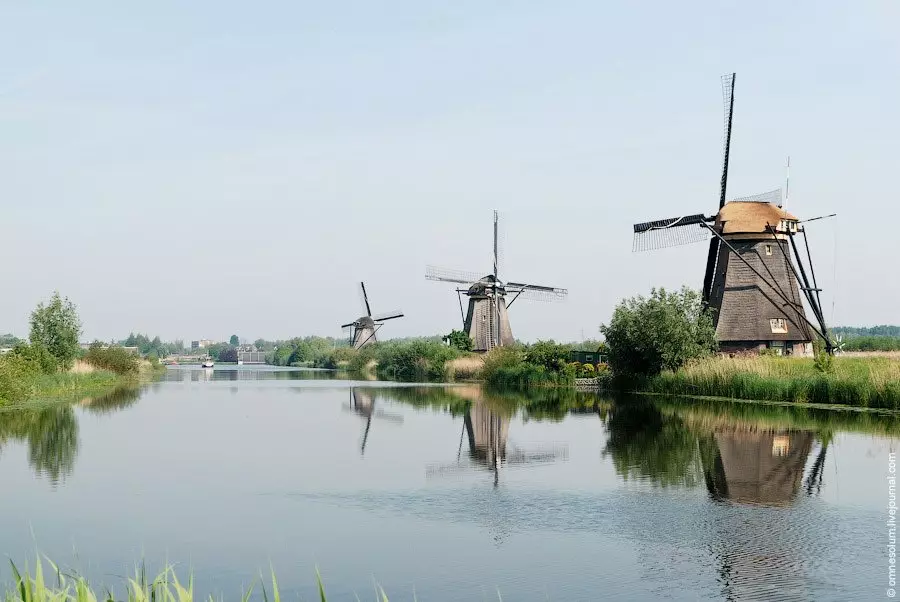 Kuma kun ga windmills na Netherlands: Gangar Duniya ta UNESCO. 2614_11