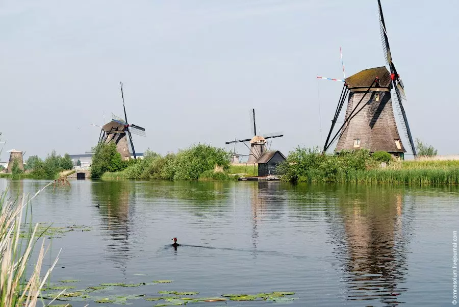 And you saw the windmills of the Netherlands: UNESCO World Heritage. 2614_13