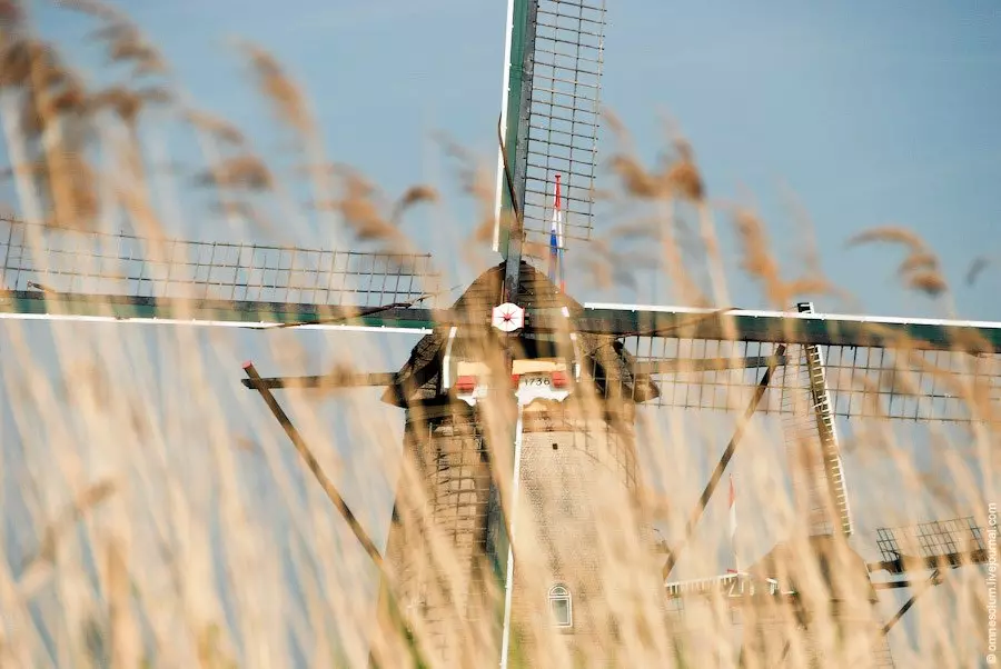 And you saw the windmills of the Netherlands: UNESCO World Heritage. 2614_14