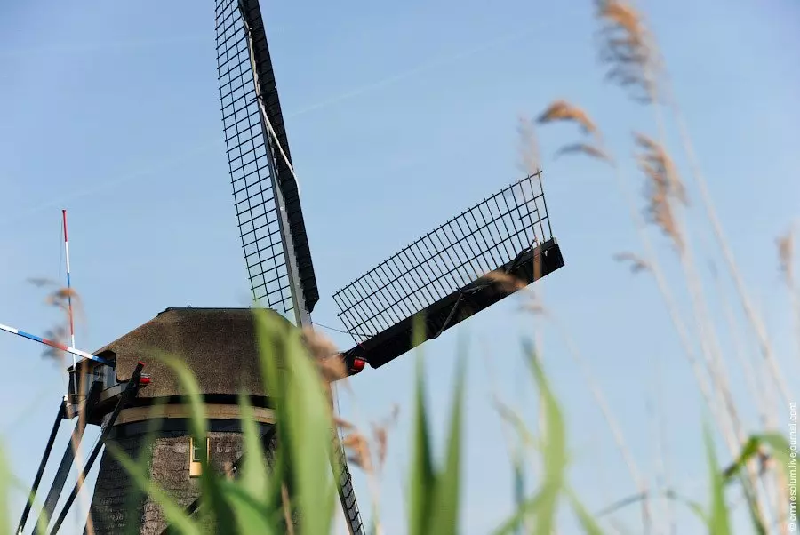 Kuma kun ga windmills na Netherlands: Gangar Duniya ta UNESCO. 2614_15