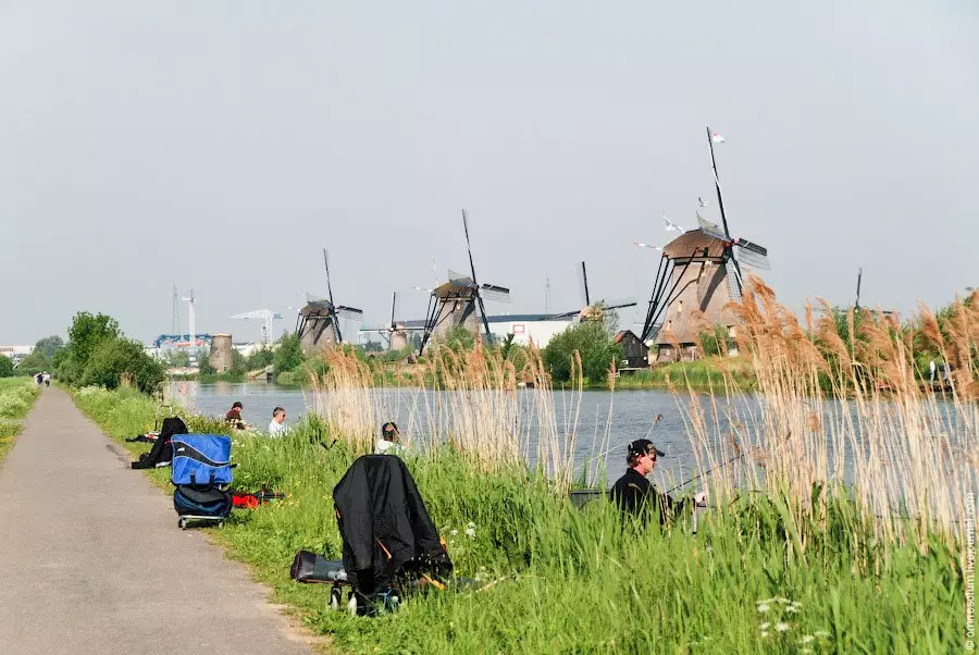 Kuma kun ga windmills na Netherlands: Gangar Duniya ta UNESCO. 2614_18