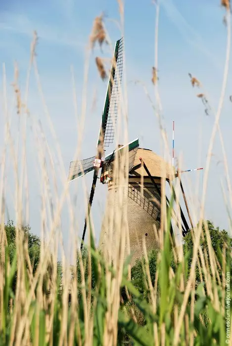 Kuma kun ga windmills na Netherlands: Gangar Duniya ta UNESCO. 2614_2