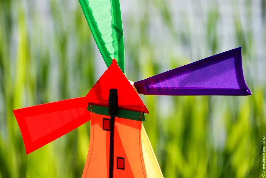 Kuma kun ga windmills na Netherlands: Gangar Duniya ta UNESCO. 2614_21