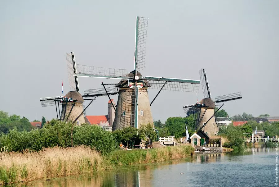 Kuma kun ga windmills na Netherlands: Gangar Duniya ta UNESCO. 2614_7