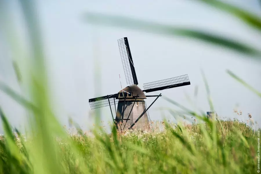 Kuma kun ga windmills na Netherlands: Gangar Duniya ta UNESCO. 2614_9