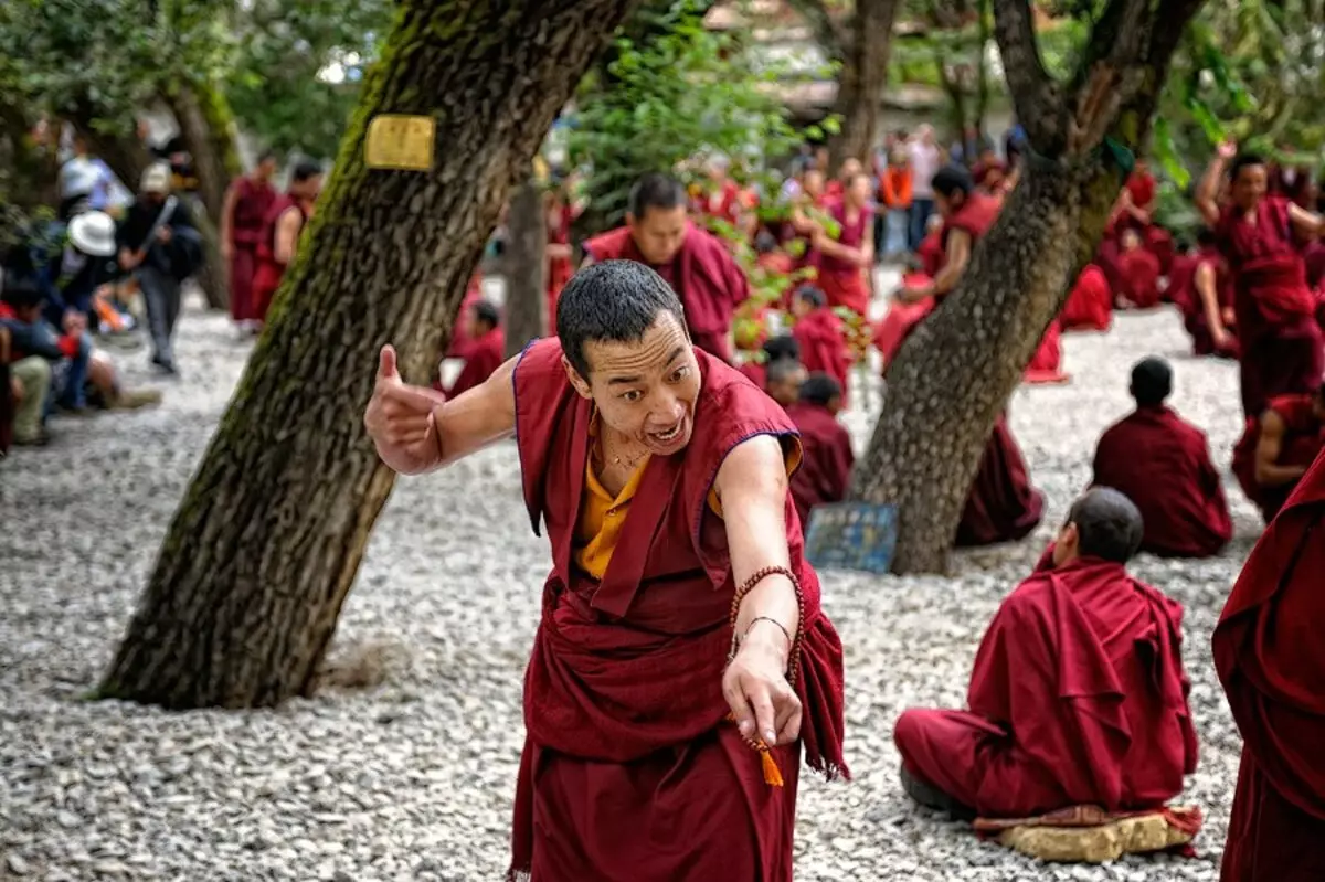 Kutora mifananidzo mune isinganzwisisike tibet vadim krik 2621_29