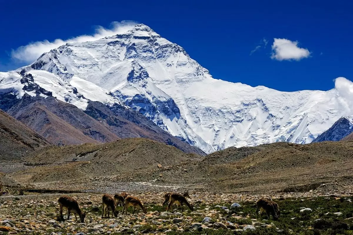 Fotografearje yn mysterieuze Tibet Vadim Krik 2621_32