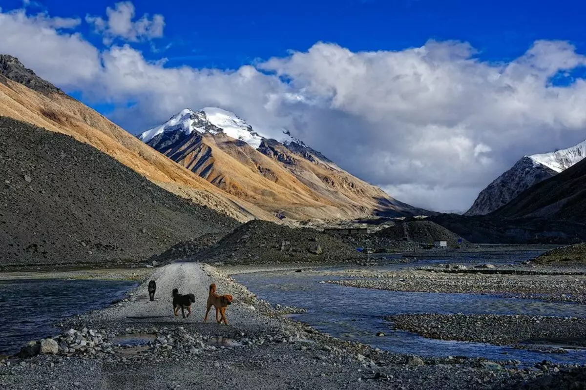 Ffotograffau mewn Tibet dirgel Vadim Krik 2621_36