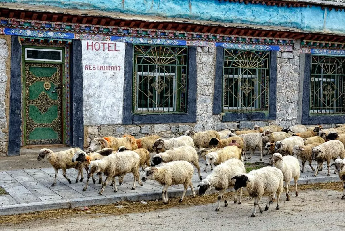 Fotografiranje u tajanstvenom Tibetu Vadimu Kriku 2621_6