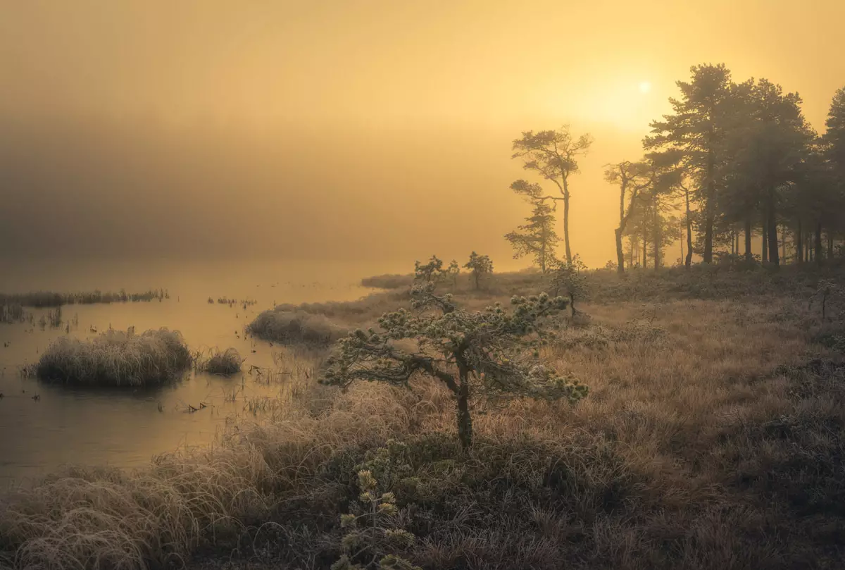 Krajinska fotografija iz poljskega fotografa Adrian Chatewicz (Adrian Szatewicz) \ t 2840_1