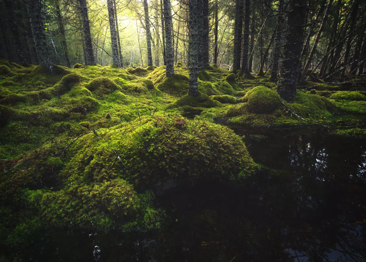 Landskabsfoto fra polsk Fotograf Adrian Chatewicz (Adrian Szatewicz) 2840_16