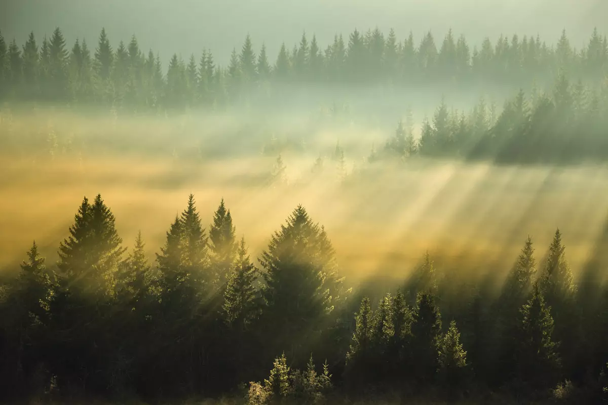 ПЕЙЗАЖНА ФОТОГРАФИЯ ВІД ПОЛЬСЬКОГО ФОТОГРАФА Адріана Шатевіча (Adrian Szatewicz) 2840_6