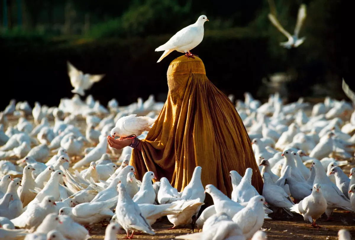 Hubungan khusus jalma sareng sato: fotografer Steve McCurry (Steve McCurry) 2887_10