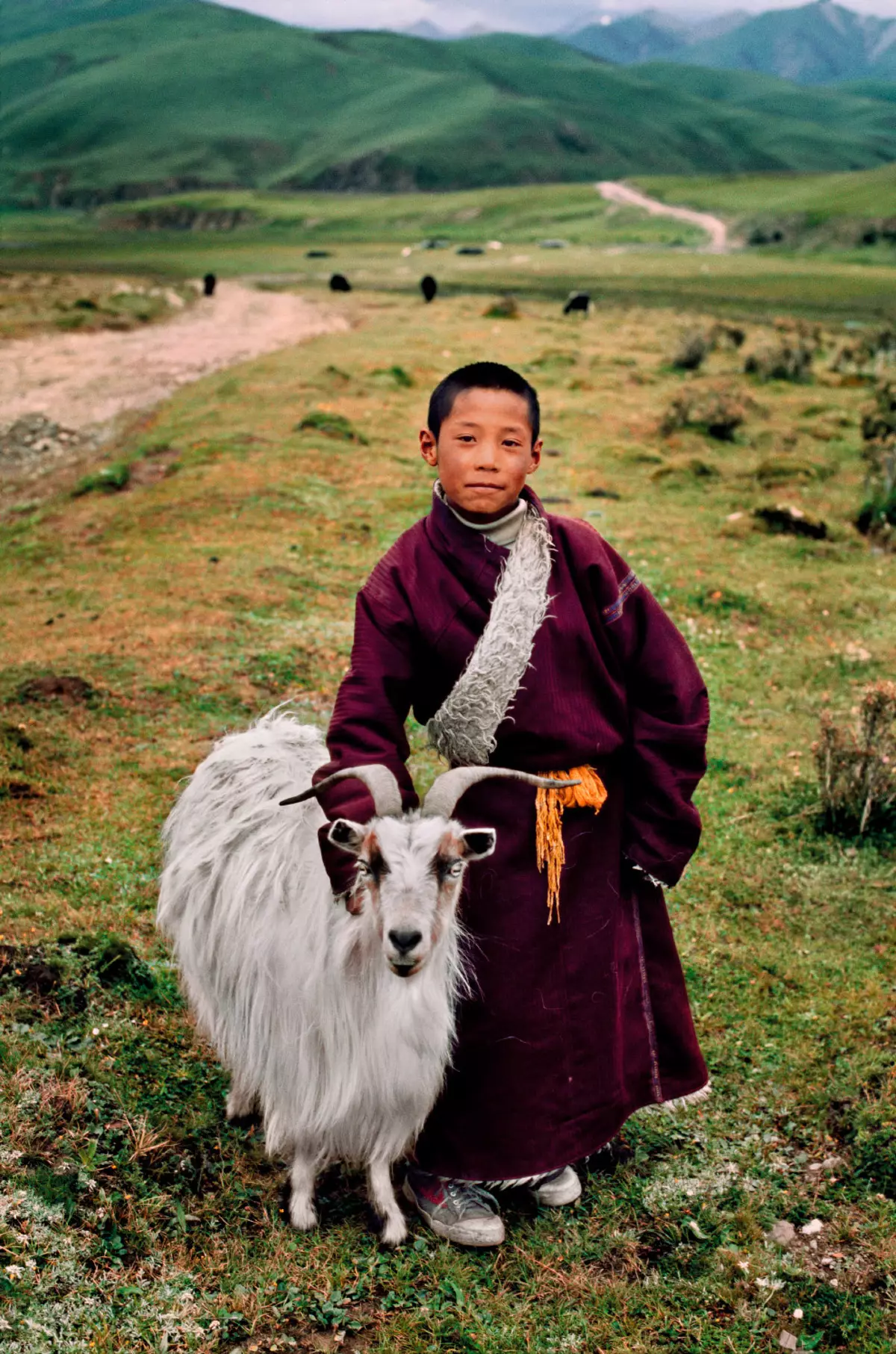 Hubungan khusus jalma sareng sato: fotografer Steve McCurry (Steve McCurry) 2887_11