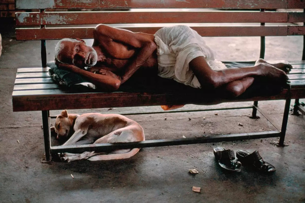 Hubungan khusus jalma sareng sato: fotografer Steve McCurry (Steve McCurry) 2887_13