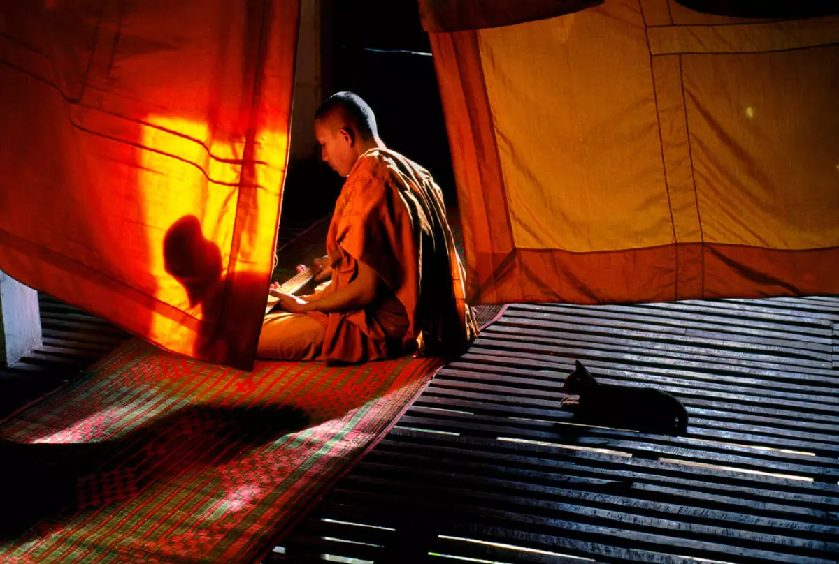 Hubungan khusus jalma sareng sato: fotografer Steve McCurry (Steve McCurry) 2887_14